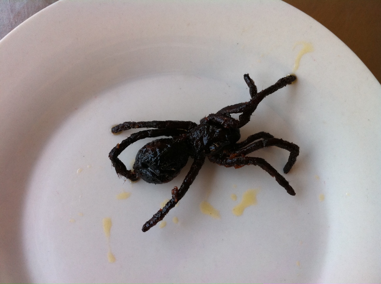 Fried Tarantula | Something's Brewing