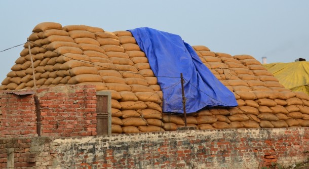 India’s Grain Storage Problem | Something's Brewing